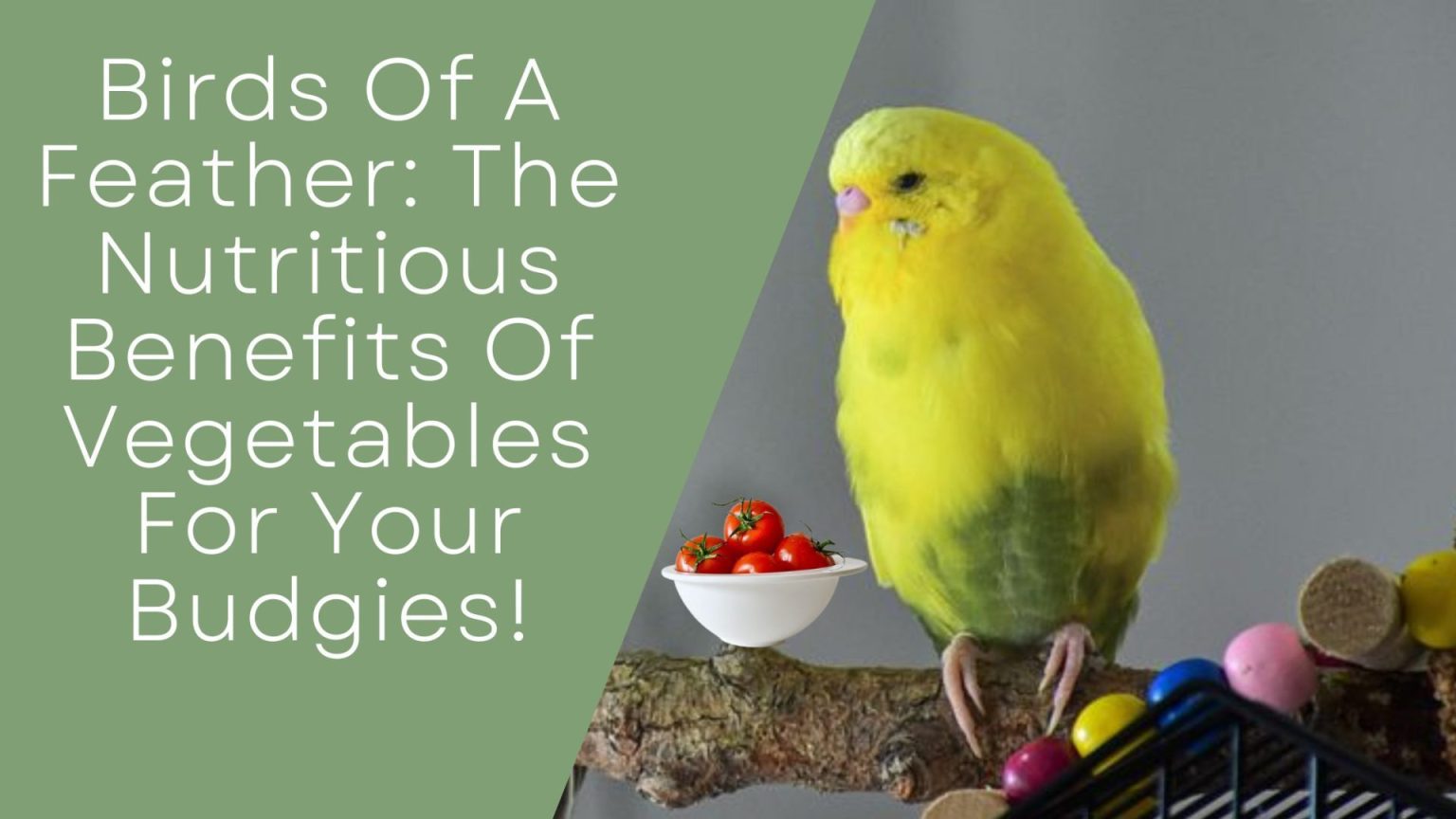Birds Of A Feather: The Nutritious Benefits Of Vegetables For Your Budgies!